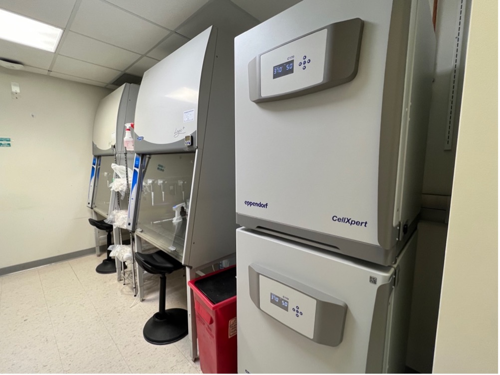 News | huang Laboratory